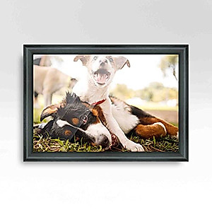 33x26 Frame Black Real Wood Picture Frame Width 1.25 Inches | Interior Frame Depth 0.5 Inches | Rolio Modern Photo Frame Complete with UV Acrylic, Foam Board Backing & Hanging Hardware