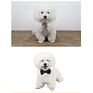 4 Pieces Pets Dog Cat Bowtie Pet Costume Adjustable Formal Necktie Collar for Cats Small Dogs Puppy Grooming Accessories