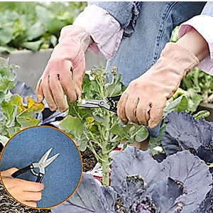 30 Pcs Succulent Tools Set, Mini Transplanting Garden Tools Kit Bonsai Tools Set for Indoor Gardening Flower Pot Cactus Care