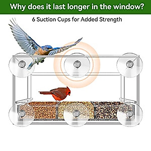 DY-SKTY Clear Window Bird Feeder with 6 Strong Suction Cups and Detachable Seed Tray for Outside, Large Transparent Acrylic Wild Birds House Cat Kids and Elderly Viewing Bird Feeder for Window Perch