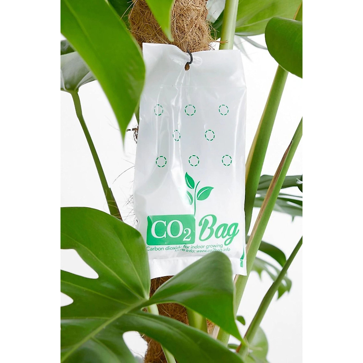 CO2 BAG -CO2 for indoor growing. Small, effective and affordable
