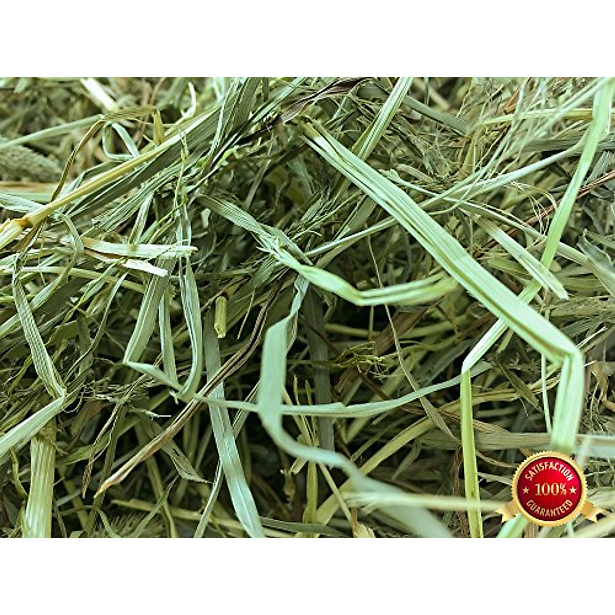 Rabbit Hole Hay Ultra Premium, Hand Packed Soft Timothy Hay for Your Small Pet Rabbit, Chinchilla, or Guinea Pig (20lb)