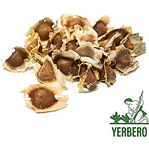 Yerbero - 100% All Natural Moringa Oleifera Seeds 600 Count (6oz) | (Drumstick Tree) | Semillas De Moringa Comestibles