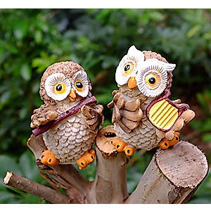 SMANSNAY Owl Decor Statue, Home Office Ornaments, Cute Owl Figurines for Home Decoration, Great Owl Gifts for Women, Boys, Girls(Pack of 4)