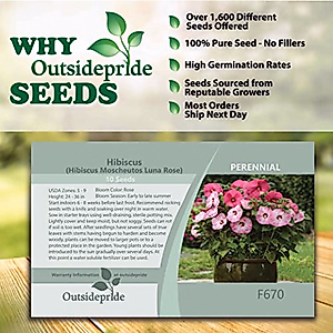 Outsidepride Hibiscus Luna Rose Garden Flower Seed & Foliage Container Plants - 20 Seeds