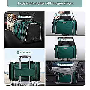 AutumnStory Cat Carrier, Pet Carrier Airline Approved, 2 Sides Expandable Dog Carrier, Soft-Sided Collapsible Dog Travel Bag with Removable Fleece Pad for Cats, Puppy and Small Animals (Green)