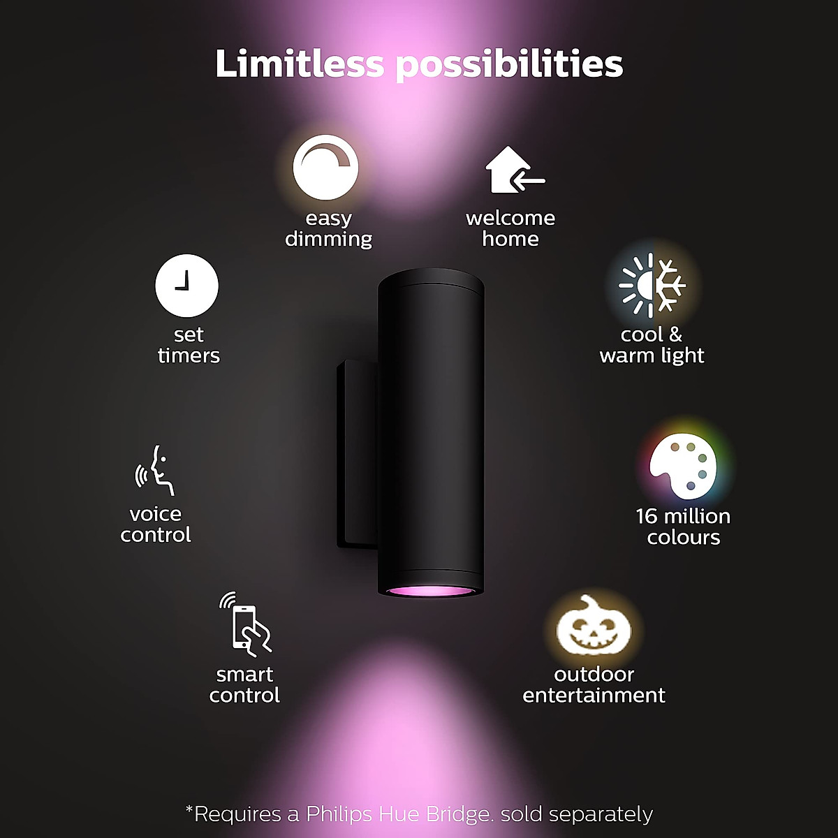 Philips Hue White & Color Ambiance Appear Outdoor Wall Light Fixture (Hue Hub Required, Compatible with Alexa, Apple Homekit & Google Assistant), Black