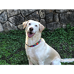 Lucky Love Dog - Easy Click Buckle Dog Collar with Leash Set Combo, Durable & Comfortable Collar for Male & Female Dogs, Pet Collar for Small to Large Dogs, Secure Fit - Blackbird Combo, Small