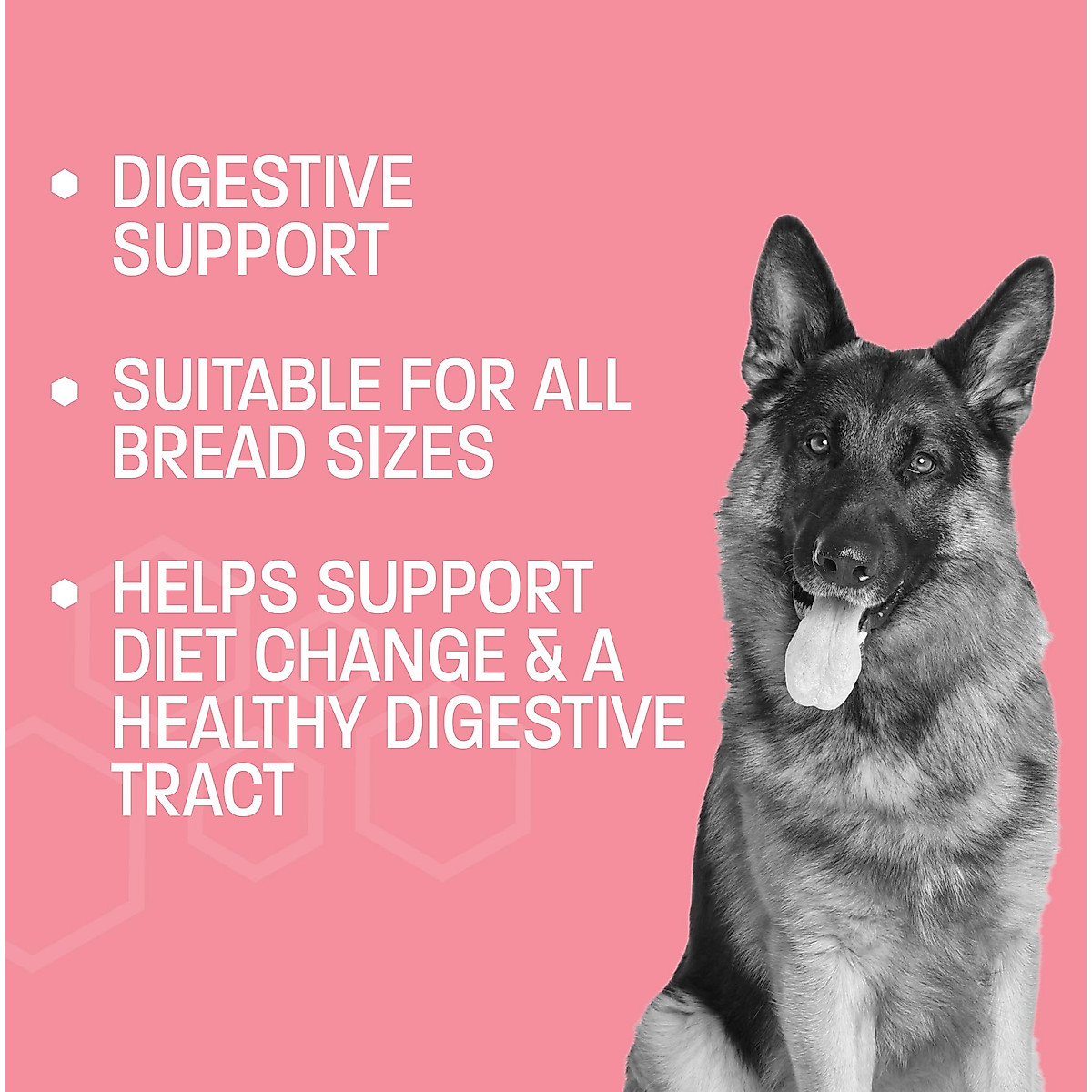 Pet Health Pros Advanced Probiotics for Dogs - Probiotic Soft Chew for Upset Stomach, Diarrhea & Constipation Relief - Promotes Happy Gut, Happy Dog - 60 ct