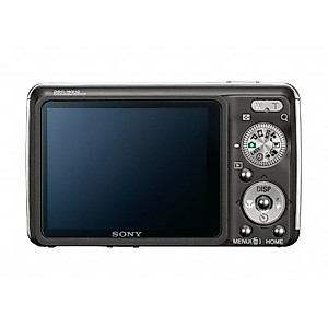 Sony Cybershot DSC-W220 12.1MP Digital Camera with 4x Optical Zoom with Super Steady Shot Image Stabilization (Black)