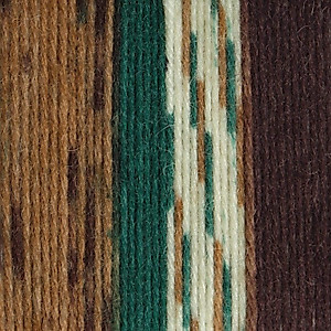 Patons Kroy Socks Yarn, 2-Pack, Woodsie