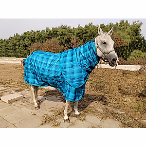 Ankaier 600D Waterproof & Windproof Winter Turnout Horse Blanket with Detachable Neck Hood Covered, High-Grade Thermal Polyfill Materials (250 Grams), Heavy Weight Version- Blue/Grid - 72" inches
