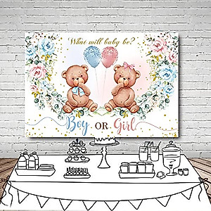 MEHOFOND 7x5ft Bear Gender Reveal Baby Shower Party Backdrop Boy or Girl Blush Pink Blue Floral Photography Background Party Decor Blue and Pink Balloons Gold Confetti Photobooth