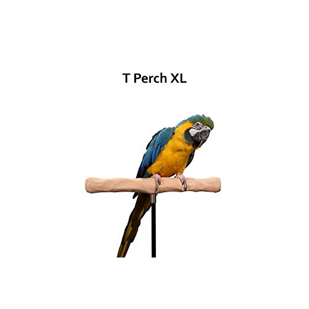 Parrot Training Perch Kit (T Perch, XL)