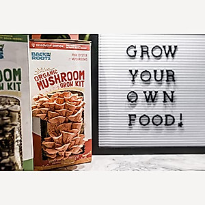 Back to the Roots Organic Mushroom Grow Kit - Oyster and Pink Mushroom 2-Pack Variety - Indoor Non-GMO Growing Kit - Produces 3-4 Servings and Grows in 10 Days