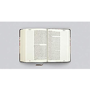 ESV Single Column Journaling Bible, Large Print (Summer Garden)