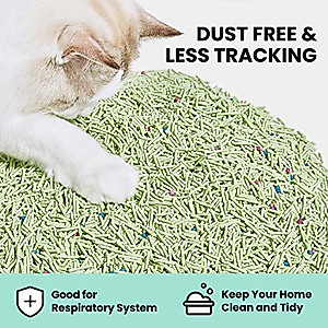 VETRESKA Tofu Cat Litter, Natural Eco-Friendly Pretty Kitty Litter, Flushable Clumping Tofu Cat Litter Pellets - Ultra Absorbent, Odor Control, Dust-Free Low Tracking Cat Litter, Greentea