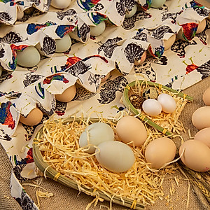 ETIUC Durable Egg Gathering Apron 18 Deep Pockets Canvas Fabric for Duck Goose Quail Dove Eggs Holder Easter Egg Collecting Apron Chicken Coop Tool Hen Rooster Print