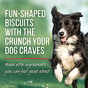 Merrick Oven Baked Dog Treats - Paw'some Peanut Butter with Real Peanut Butter - 11 oz Bag