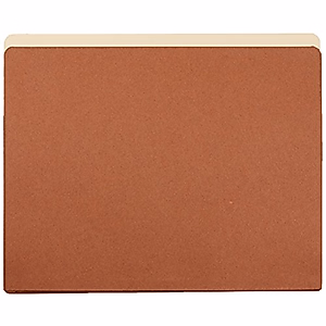 Amazon Basics Expanding File Pocket Folder Organizer, Letter Size, 3.5-Inch Expansion - 25-Pack, 9.5 x 11.75 Inches