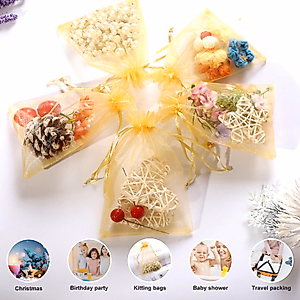Hopttreely 100pcs Gold Organza Gift Bags, 4 x 6 inch Satin Drawstring Candy Mesh Favor Bags Jewelry Pouches for Christmas Wedding Party