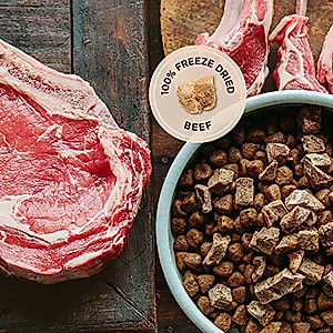 Wellness CORE Bare Bowl Boosters for Dogs, Grain-Free Freeze-Dried Food Mixer Or Topper, Made with Natural Ingredients (Beef, 4-Ounce Bag)