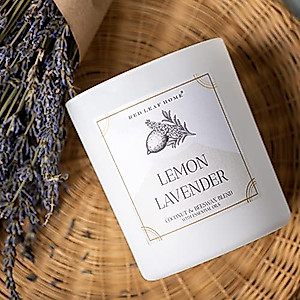 Red Leaf Home Lemon Lavender Candle - Naturals Collection, Large - 15.5 Ounce Jar