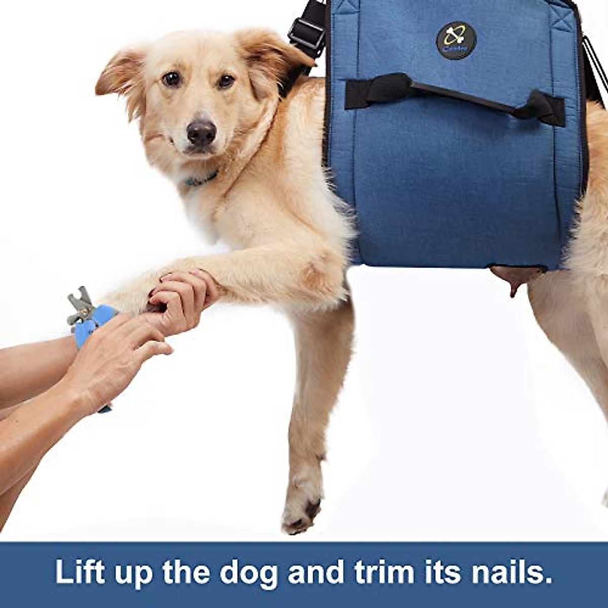 Dog Carry Sling, Emergency Backpack Pet Legs Support & Rehabilitation Dog Lift Harness for Nail Trimming, Dog Carrier for Senior Dogs Joint Injuries, Arthritis, Up and Down Stairs (XL, Blue)