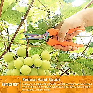 Garden Shears QMVESS 8 Inch Pruning Shears for Gardening Heavy Duty Hand Garden Clippers 3-Pack with Titanium Plated Stainless Steel Precision Blades, for Flowers, Houseplants, Bonsai or Garden