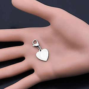 FAADBUK Initial Letter A-Z Alphabet Heart Charm for Bracelet Keychain Necklace Initial Stainless steel Clasp Clip on Charm (intial C)