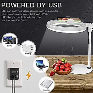 Video Conference Lighting for Laptop Computer, 10.5'' Selfie Ring Light with Stand and Phone Holder for Remote Working, Zoom Meeting Calls, Webcam Lighting, Live Streaming, Video Recording (White)