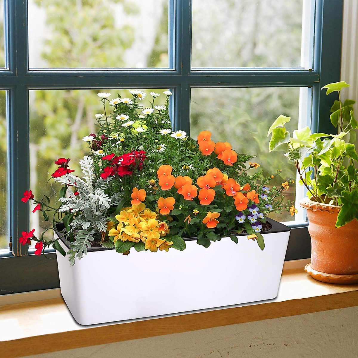 Fasmov 2 Pack Rectangle Self Watering Planter with Water Level Indicator, 16x 5.5 Inch Window Gardening Box, Decorative Planter Pot for All House Plants Flowers Herbs, Decorative Planter Pot