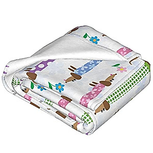 Cute Dachshund Dog Throw Blanket Soft Bed Blankets Lightweight Cozy Plush Flannel Fleece Blanket for Sofa Couch Bedroom 60"X50"