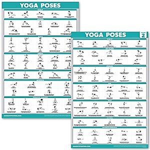 QuickFit 2 Pack - Yoga Poses Poster Set - Beginner Yoga Position Charts - Volume 1 & 2 (LAMINATED, 18" x 24")