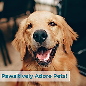 Bowsers Aspen Chenille Donut Bed for Dogs - Calming Dog Bed with Removable Tufted Cushion and Overstuffed Bolster Ring - with High Memory Polyester Fiber and Upholstery Grade Fabric - Large