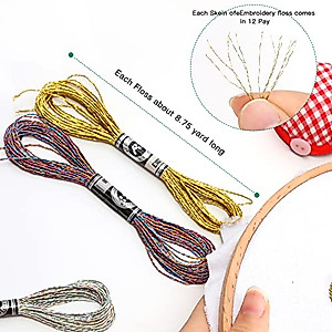 Caydo 28 Skeins Metallic Embroidery Floss Glitter Embroidery Threads Cross Stitch Thread for Friendship Bracelets DIY Embroidery Thread Crafts (14 Colors)