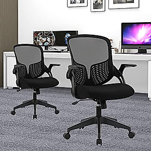 Ergonomic Desk Chair Mesh Home Office Chair with Flip Up Armrests Mid Back Computer Chair Lumbar Support Adjustable Swivel Task Chair, Black