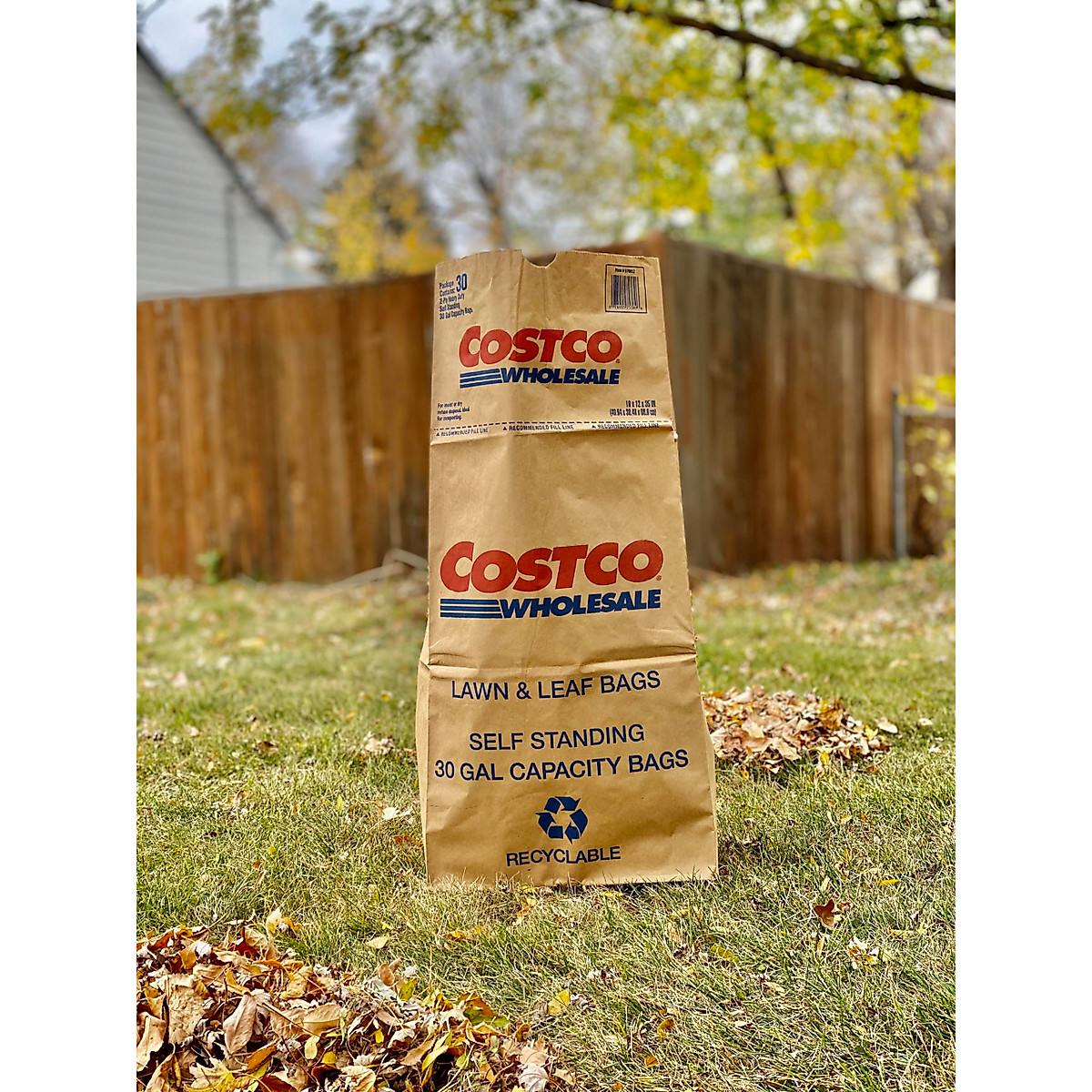 Costco Lawn and Leaf Bag 2 Ply 30 Gal 25 Ct