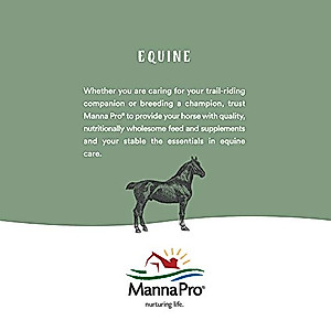 Manna Pro Flax Snax Horse Treats | Enriched with Biotin | 3.2 LB
