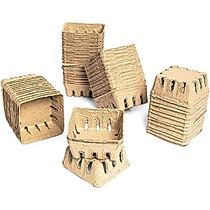 Juvale Pulp Fiber Berry Basket for Fruit (1/2 Pint, 4 x 4 x 1.81 Inches, 60 Pack)