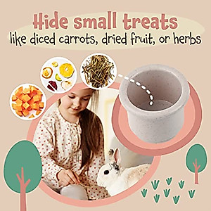 Evergreen Pet Supplies 8 PC Stacking Cups for Rabbits- Wheat Straw Toys with Cute Animal Designs - Bunny Stacking Cups to Play with Rabbits - Nesting Toys to Keep Busy-Graduated Sized Stackable Toys