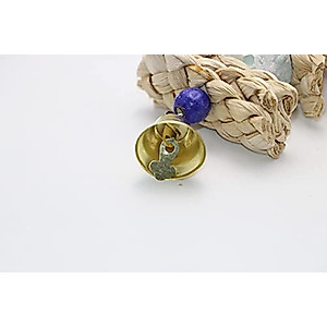 Litewoo Parrot Toy Bird Chew Toy High Calcium Plaster Hanging String Birdcage Accessories Suitable for Parrot Macaw African Grey Parrot Xuanfeng Parrot Bird Toy