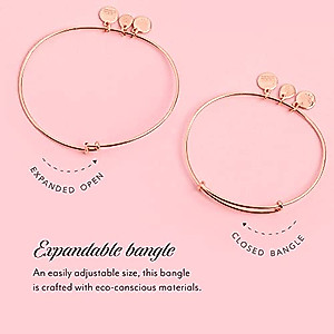 Alex and Ani Path of Symbols Expandable Bangle for Women, Heart Embossed Charm, Rafaelian Gold Finish, 2 to 3.5 in