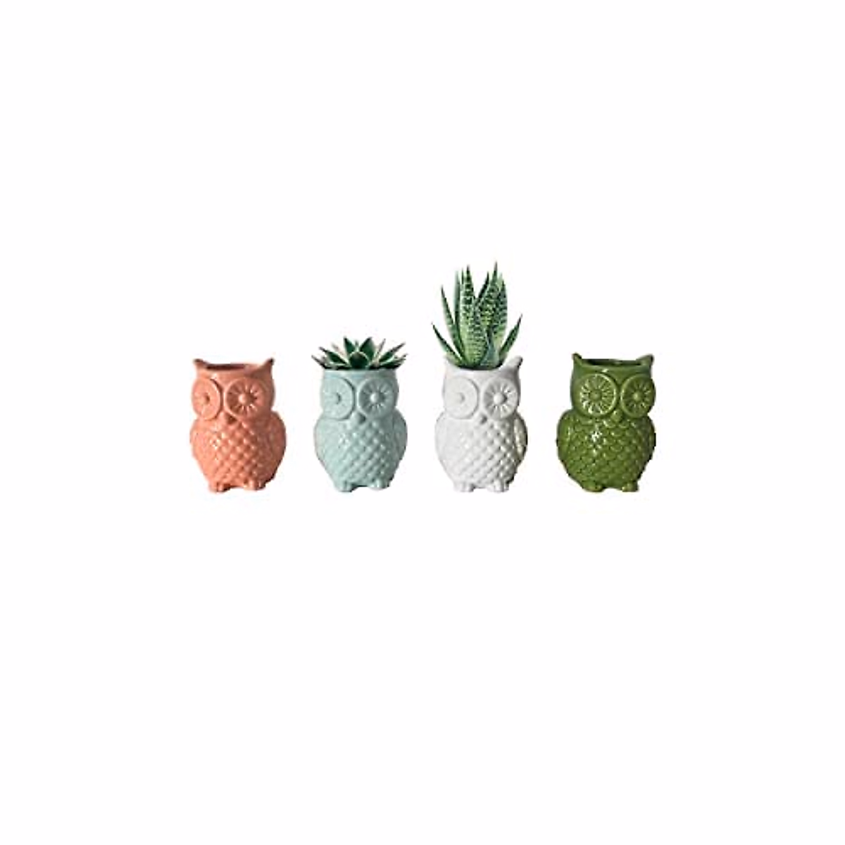 First of a Kind Owl Shaped Vases (Set of 4) - Ceramic Owl Succulent ...