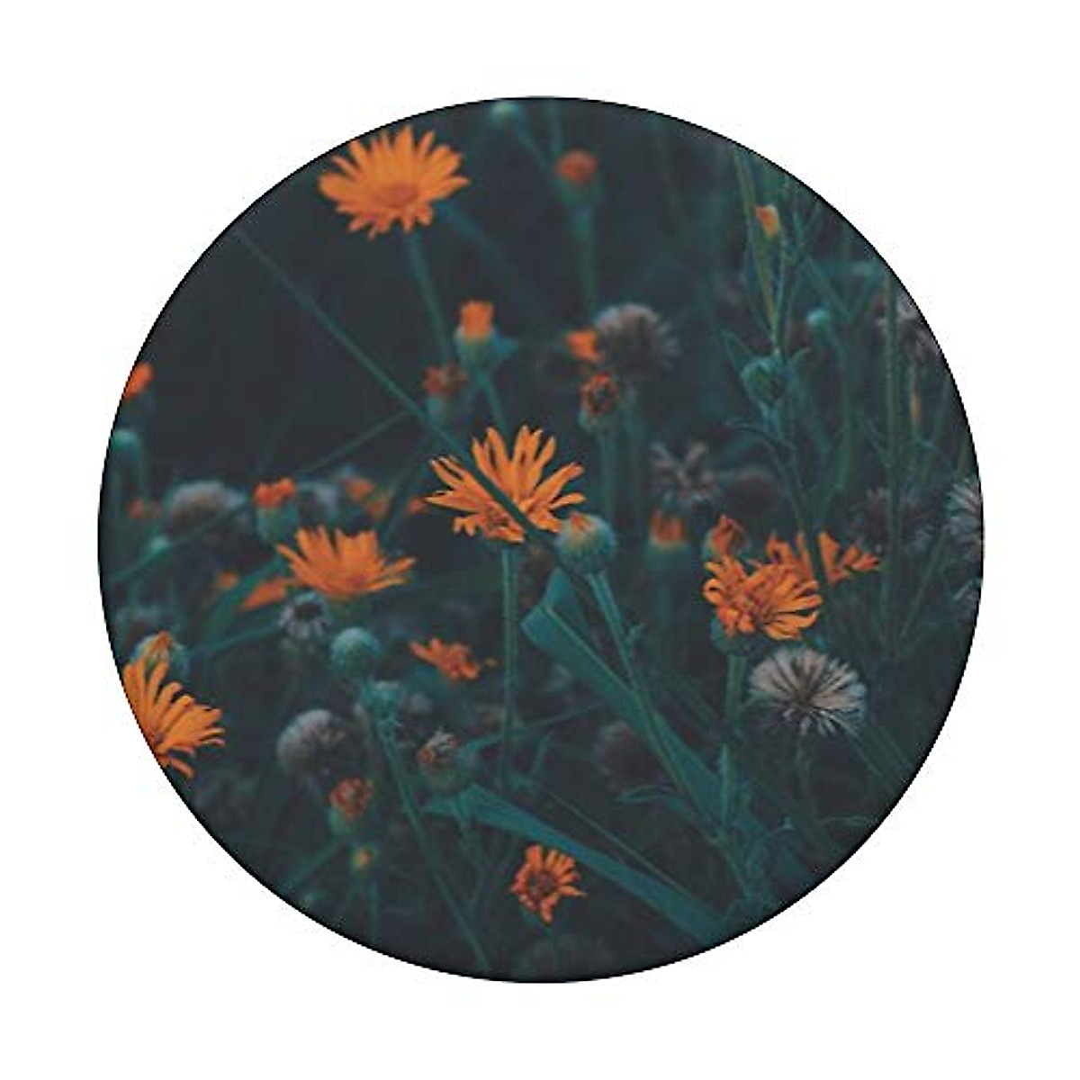 Nature Vintage Orange Flowers PopSockets Swappable PopGrip