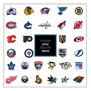 Blue Sky Outdoor Living NHL Minnesota Wild Ridge Portable Steel Smokeless Fire Pit with Carrying Bag, Firewood and/or Wood Pellet Burning