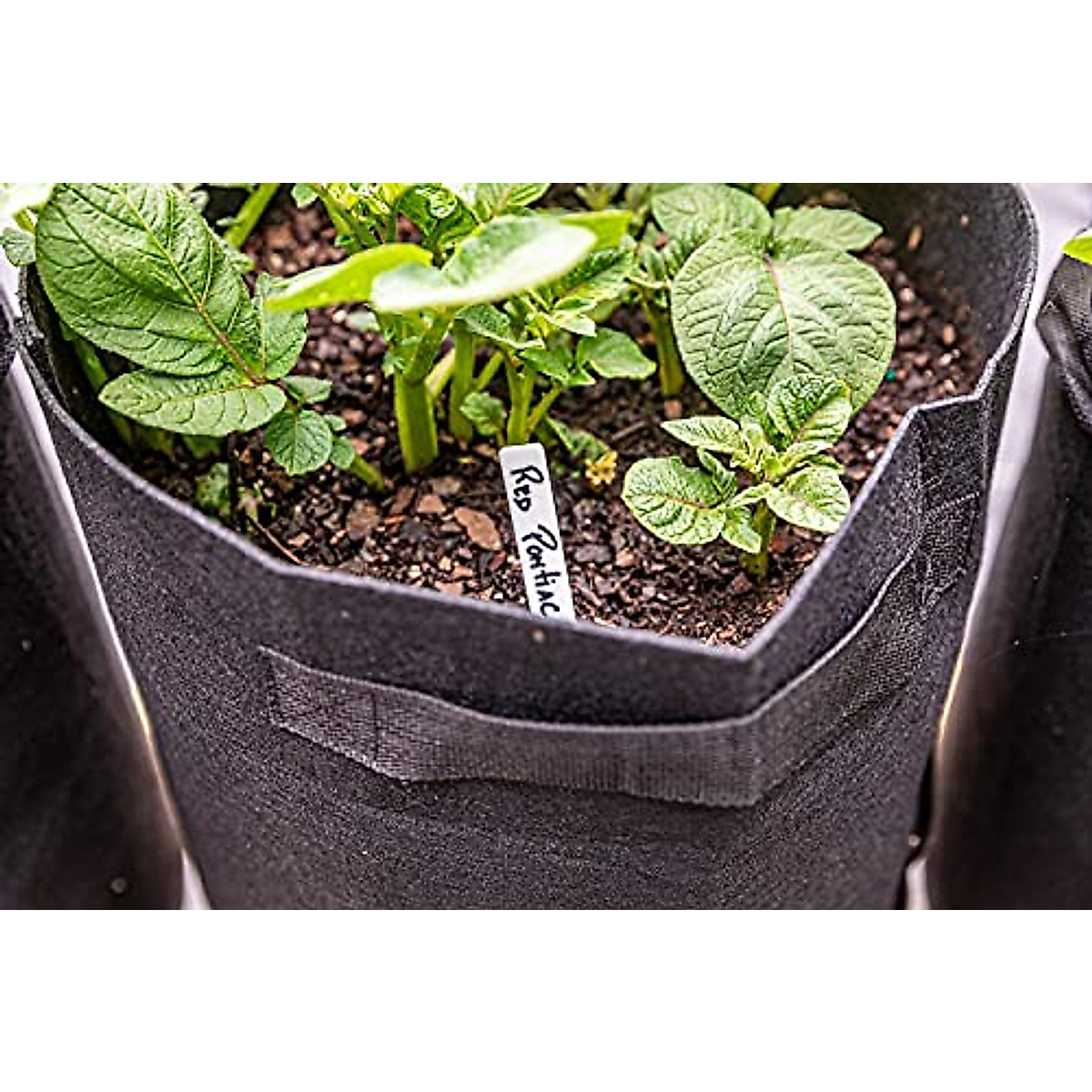 Gardzen 6 Pack BPA-Free 10 Gallon Vegetable Grow Bags with Access Flap and Handles, Suitable for Planting Potato, Taro, Beets, Carrots, Onions, Peanut