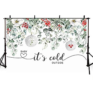 AIBIIN 7x5ft Winter Baby It's Cold Outside Backdrop Christmas Eucalyptus Leaves Baby Shower Decorations Winter Photography Background for Baby Shower Photo Booth Props