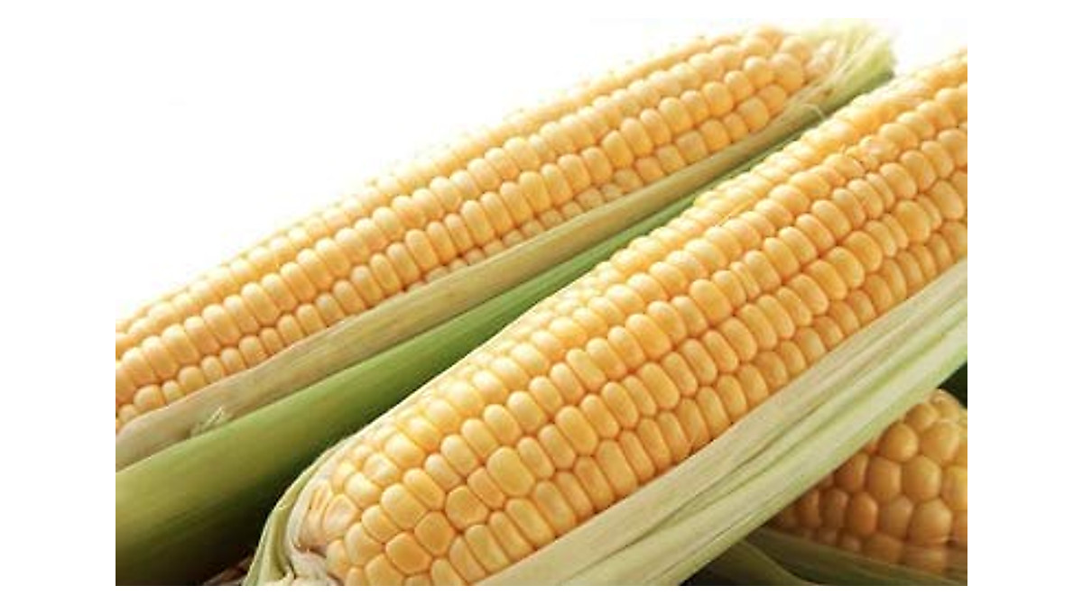 Golden Jubilee Sweet Corn Seeds - Heirloom, Non-GMO, Delicious
