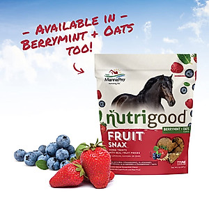 Manna Pro Nutrigood FruitSnax Horse Treats PumpkinBerry + Oats | Tasty Horse Treats Packed with Superfoods and Real Fruit Pieces | 2 Pounds